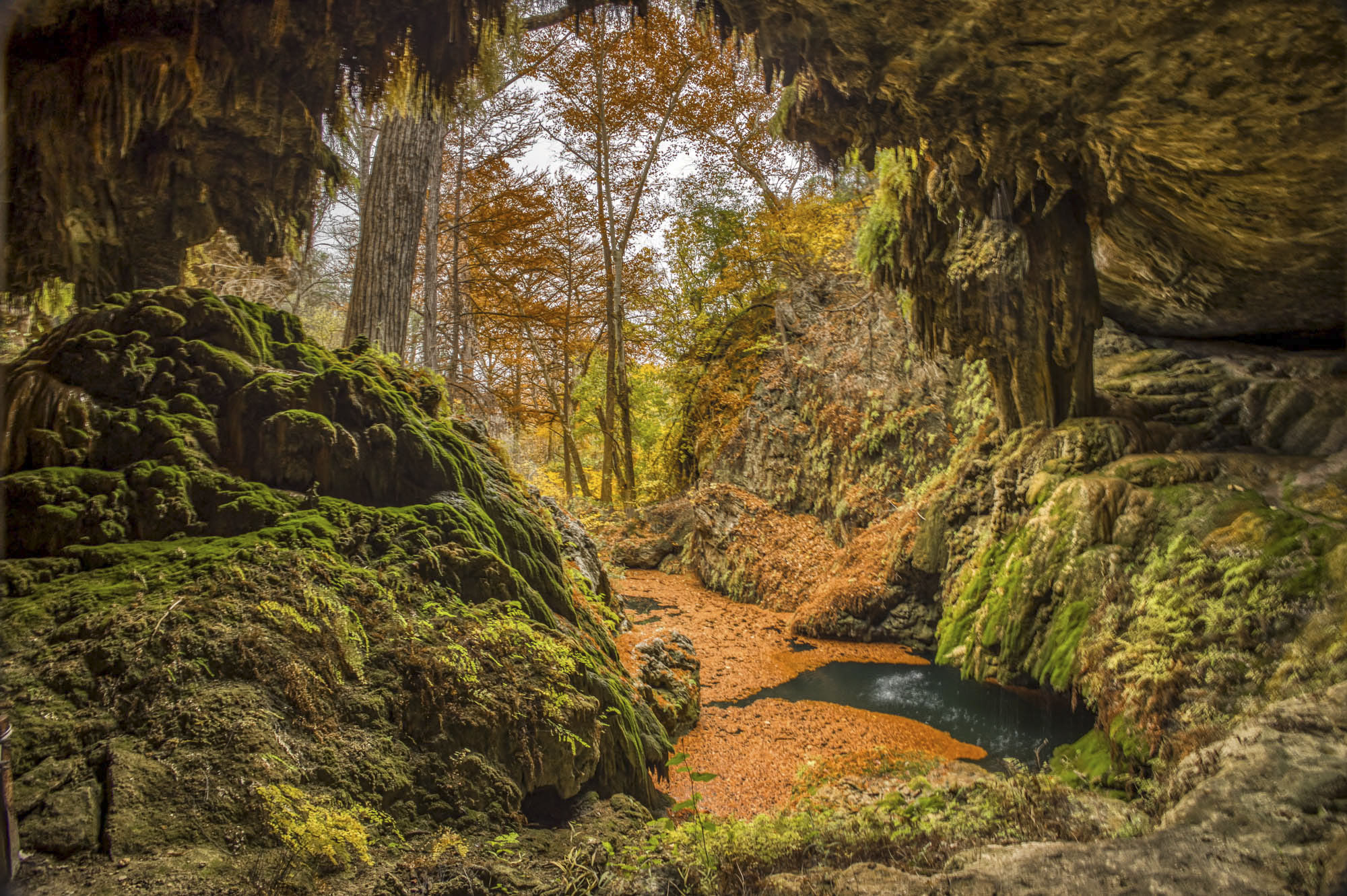 Naturescapes Photography Contest